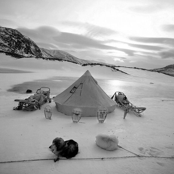 Le conférencier_old | nicolas vanier